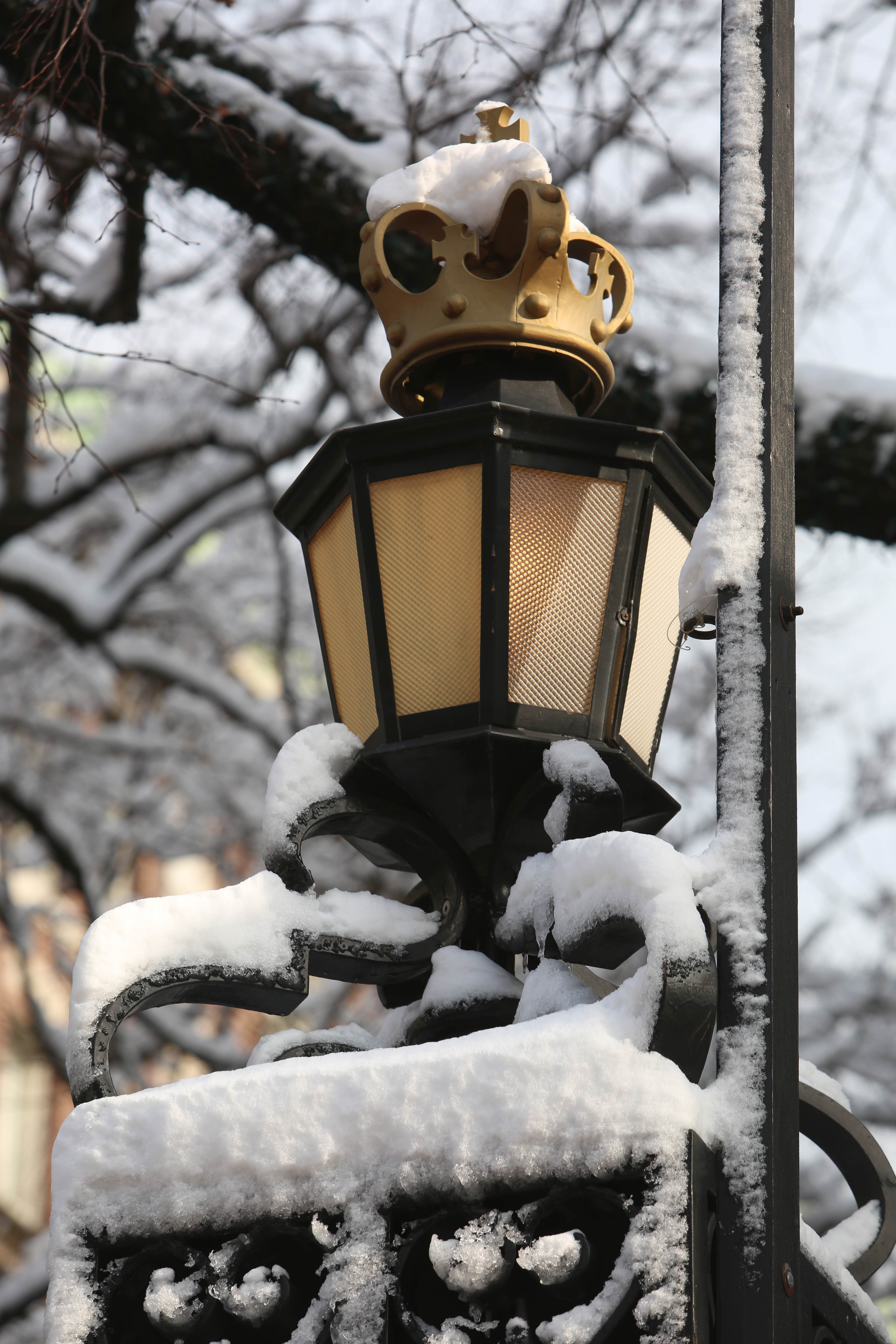 Welcome Back—Spring 2025 | Columbia Law School