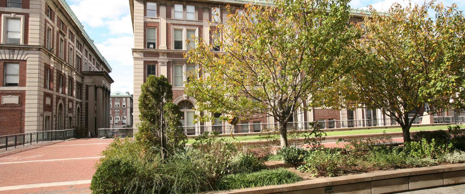 Experiential Learning | Columbia Law School